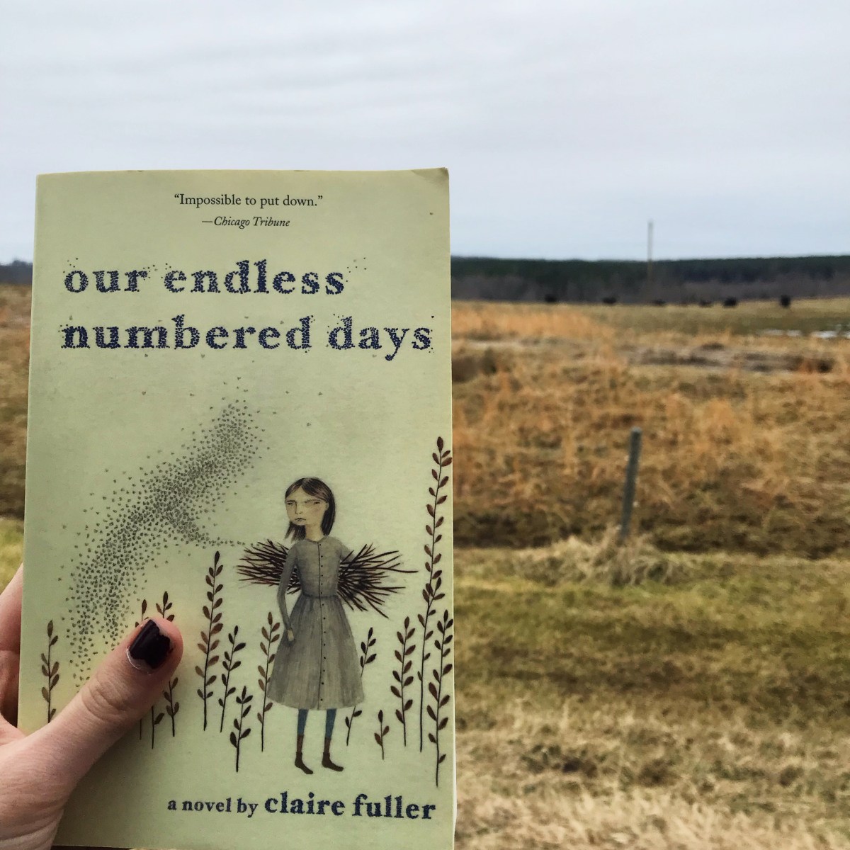 Review: Our Endless Numbered Days by Claire Fuller – takes two to book ...