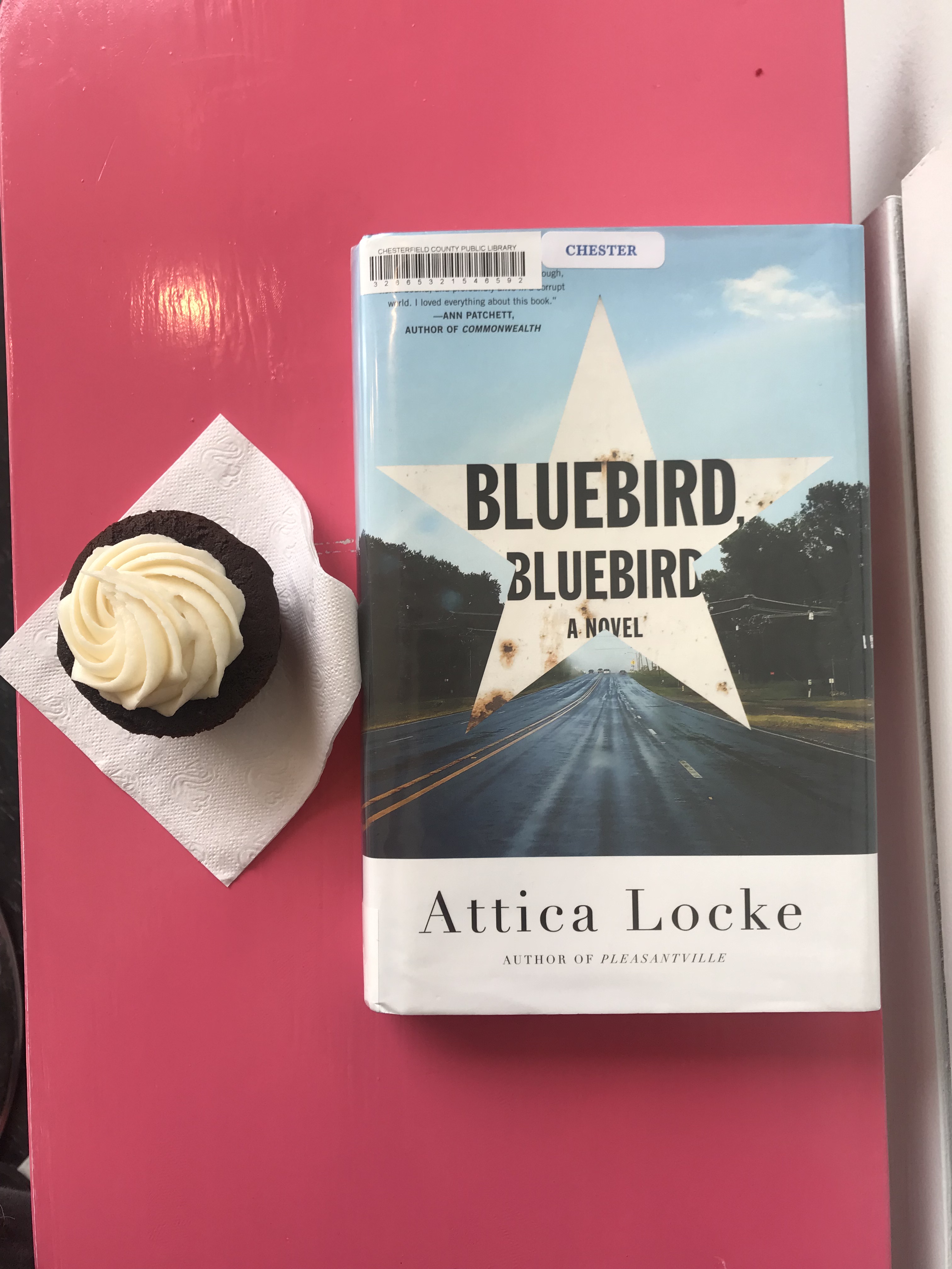 Review: Bluebird, Bluebird by Attica – takes two to book review