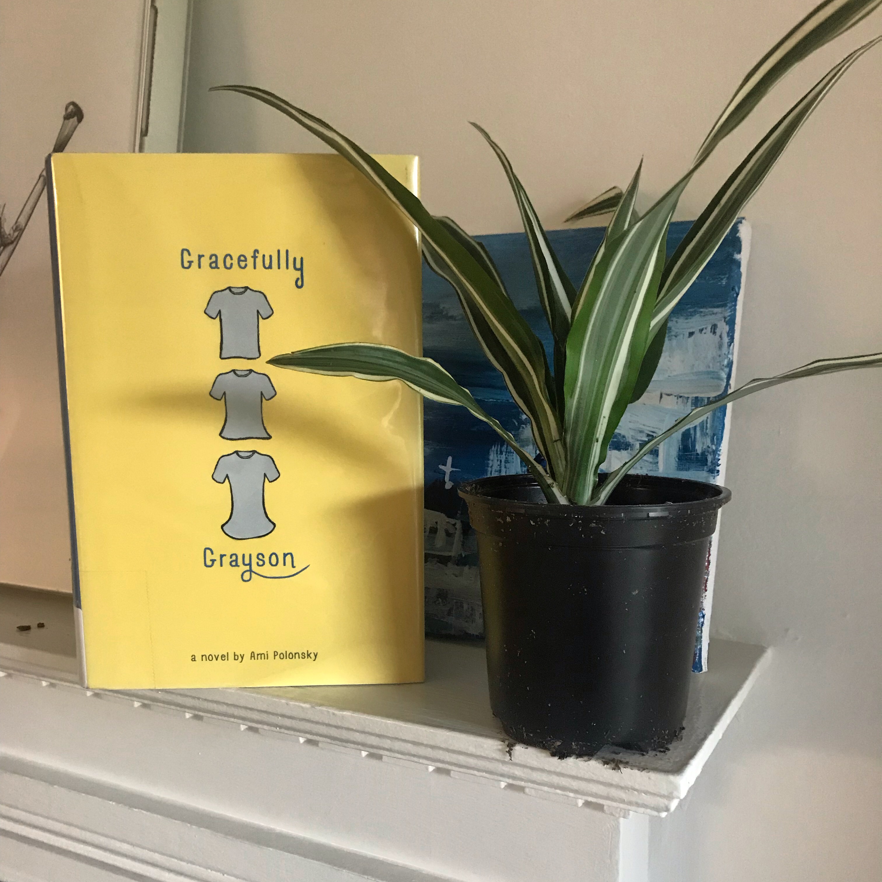 Review: Gracefully Grayson by Ami Polonsky – takes two to book review