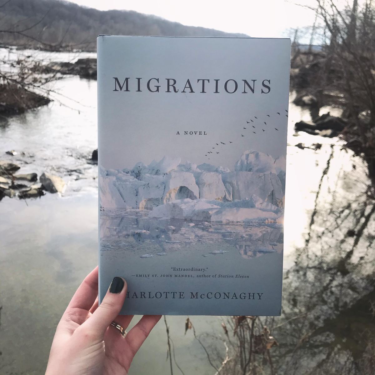 Review: Migrations by Charlotte McConaghy – takes two to book review