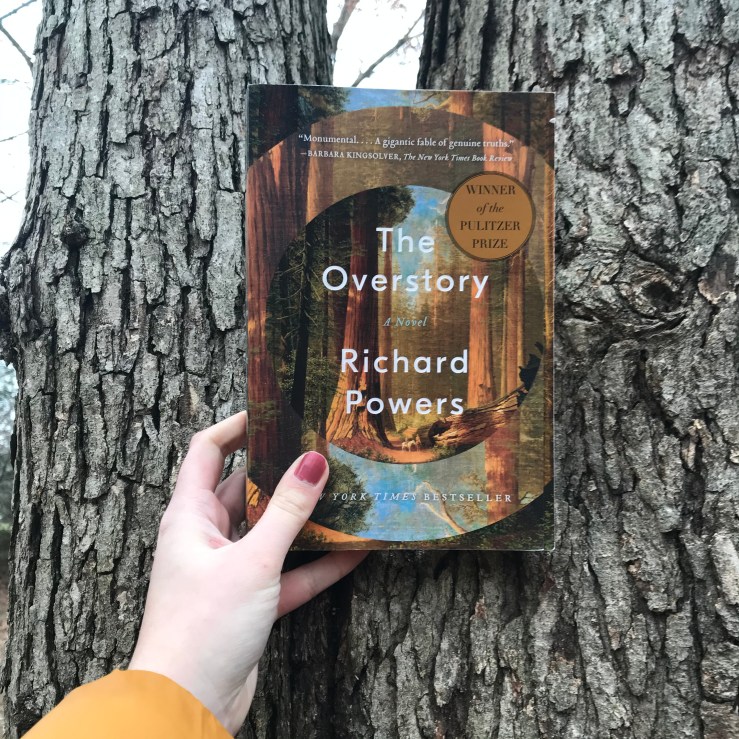 Review: The Overstory by Richard Powers – takes two to book review