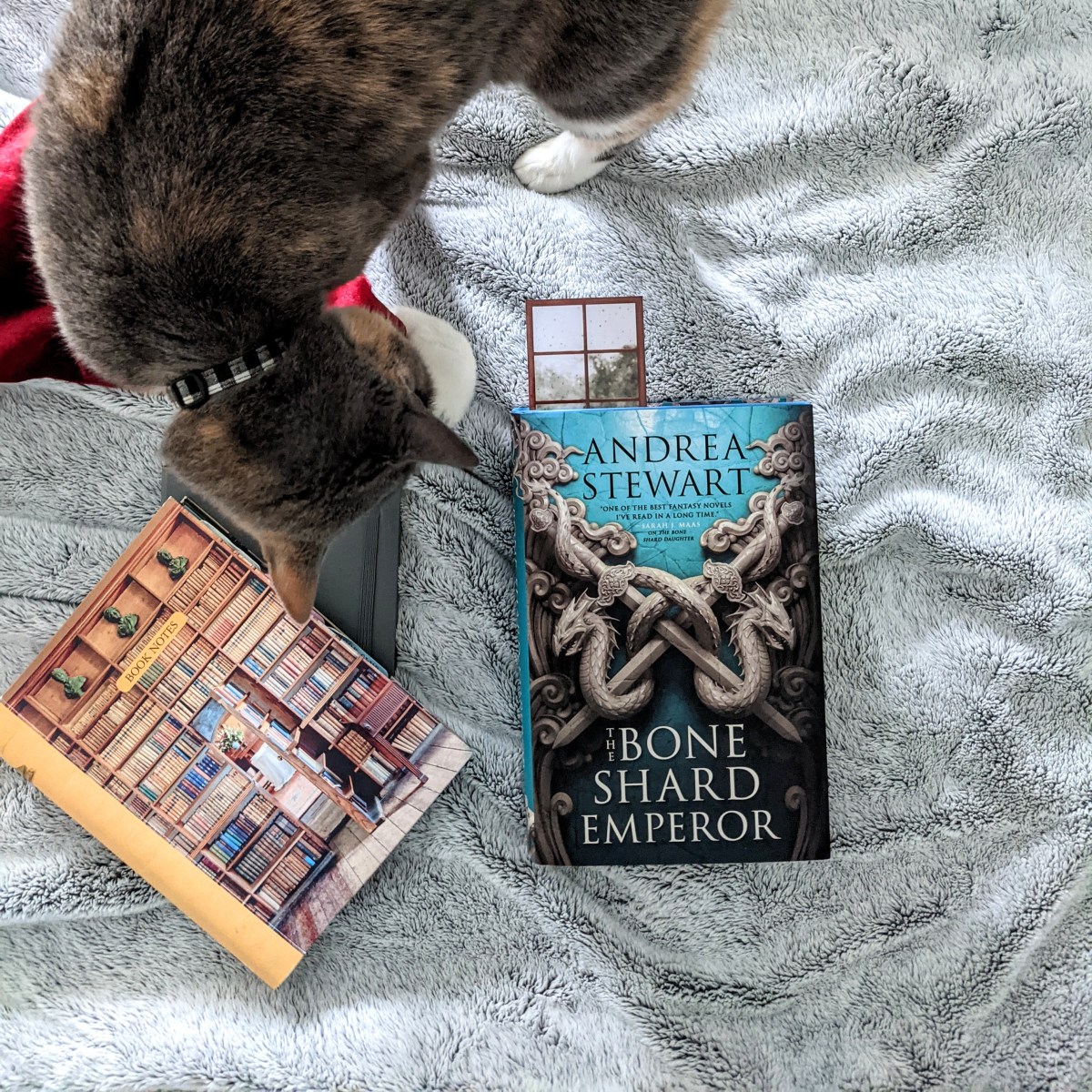 Review: The Bone Shard Emperor by Andrea Stewart – takes two to book review